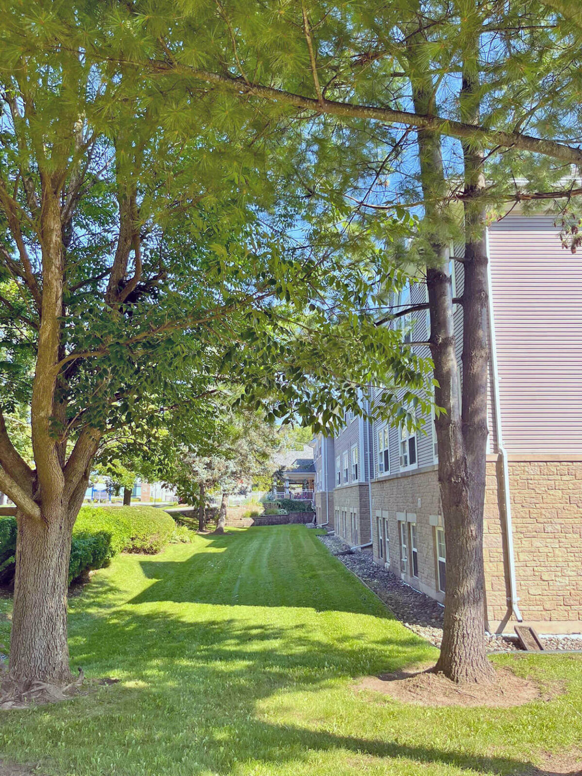 Grass Cutting - Outscape Landscape Group